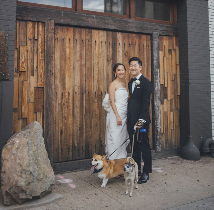 Un couple décide d’intégrer leurs chiens dans leur mariage et le ...