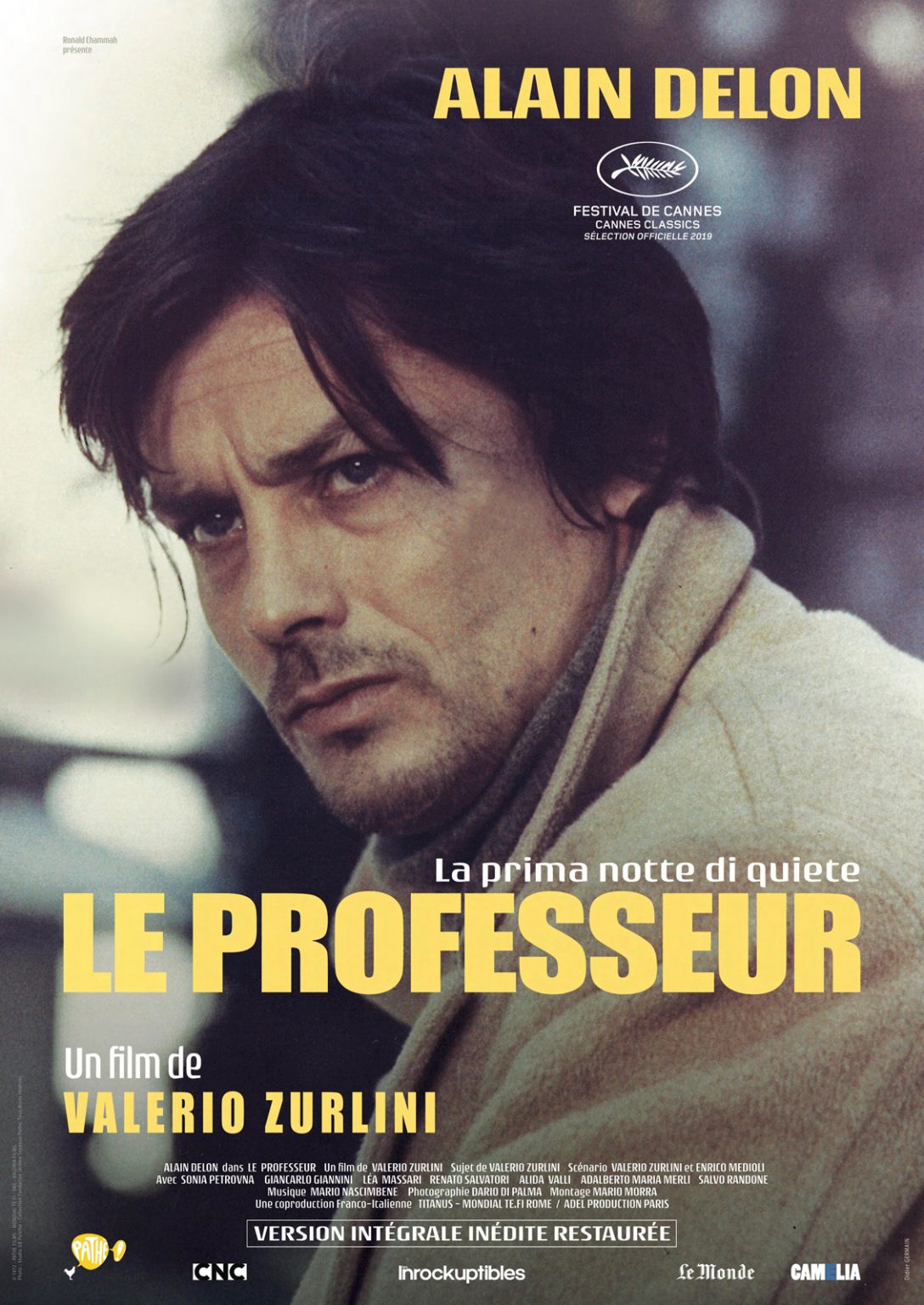 Le Professeur (Streaming, Synopsis, Casting, Bande annonce)
