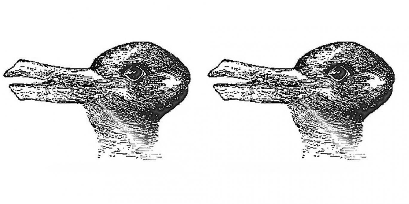 La perception d’une image qui en dit long sur le fonctionnement d’un ...