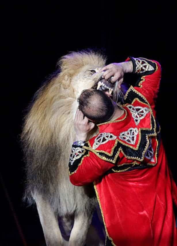En Ukaine, un lion attaque son dresseur en pleine représentation – Tuxboard
