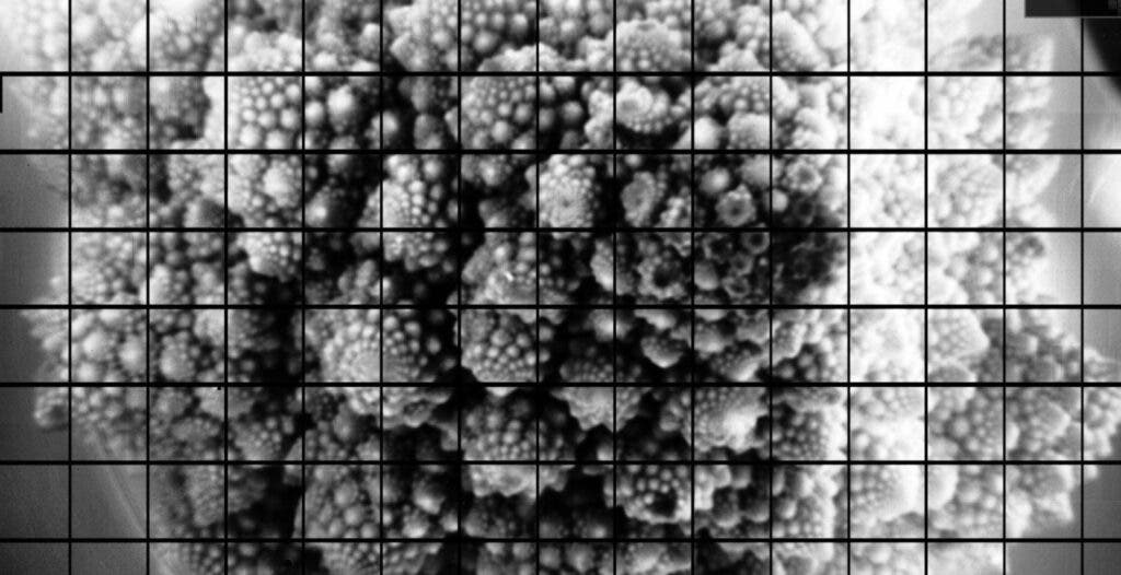 Une caméra arbore la plus haute résolution d'images au monde : 3.200 ...