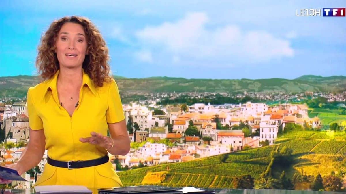 Marie-Sophie Lacarrau : son énorme salaire pour le JT de 13H sur TF1 ...