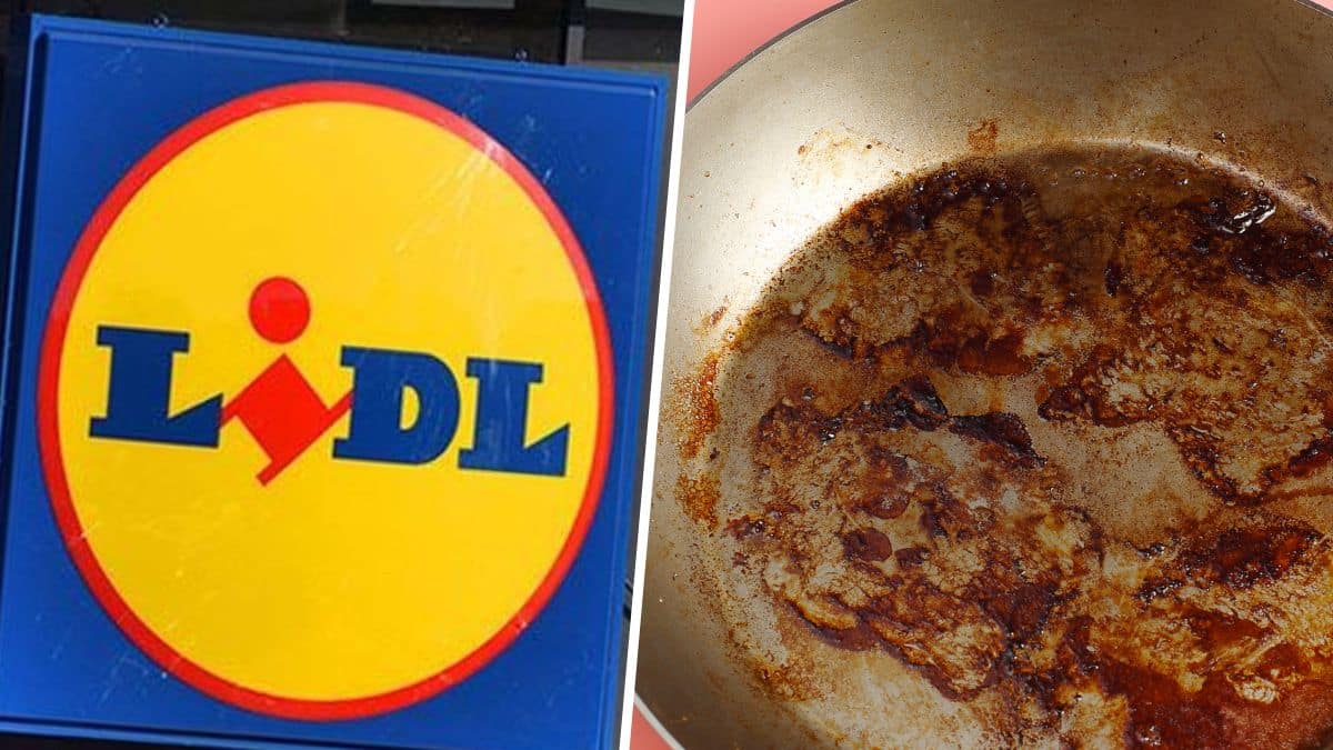 Lidl cartonne avec son produit miracle pour dégraisser toutes vos ...