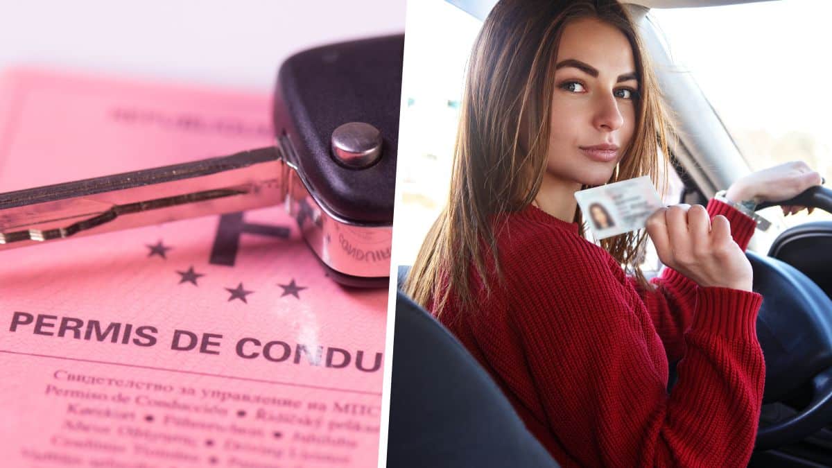 Le Permis de conduire bientôt moins cher et plus facile à obtenir grâce à cette nouvelle loi ...