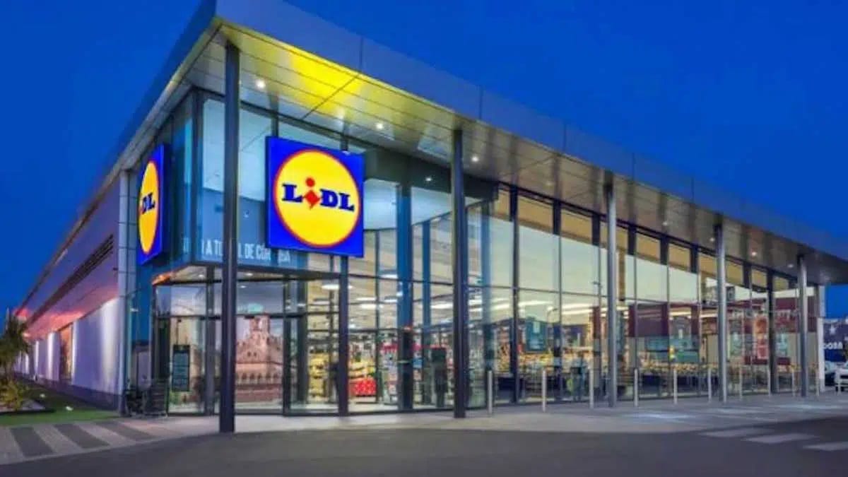 Lidl lance l'accessoire parfait pour gagner de la place dans son ...