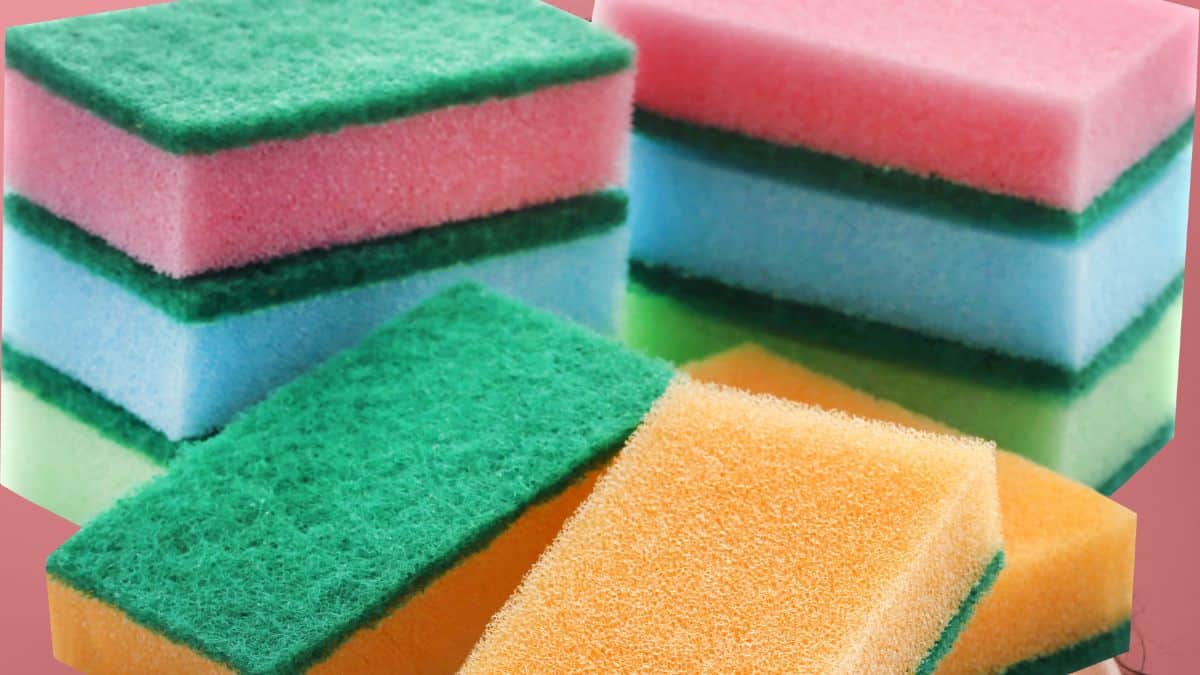 La couleur des éponges de cuisine a bien une signification précise ...