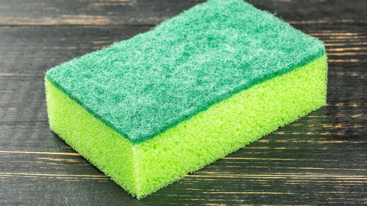 Cette astuce avec éponge à vaisselle va vous changer la vie – Tuxboard