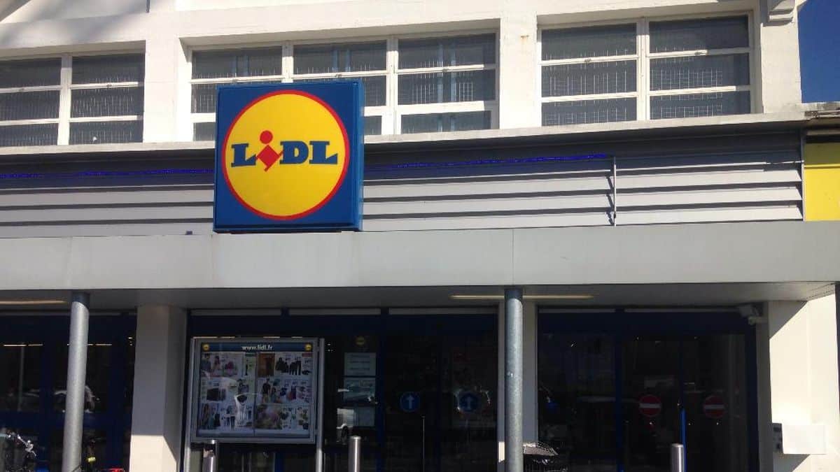 LIDL a la solution pour faire les meilleures glaces maison