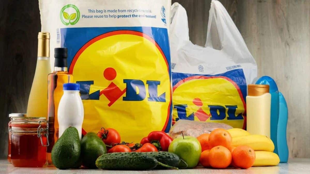 Cette innovation LIDL permet de conserver tous vos aliments plus longtemps