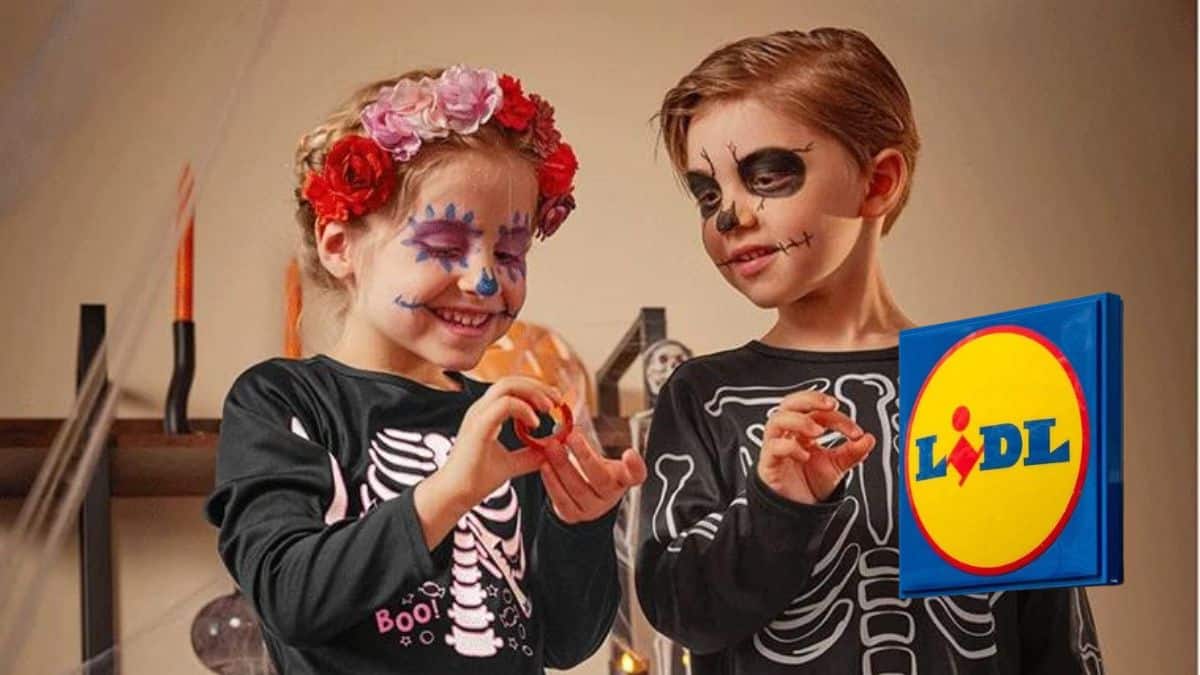 Lidl va faire un énorme carton avec ses costumes Halloween à moins de ...