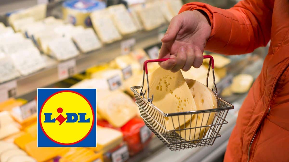 Lidl : ne mangez surtout plus ce fromage vendu partout en France car il ...