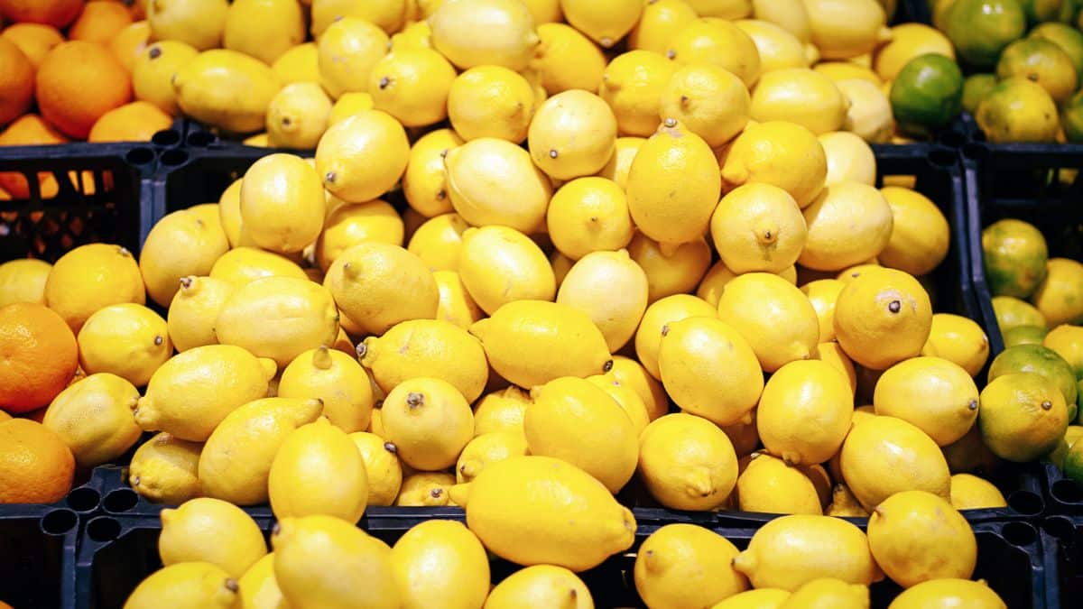 N'achetez plus ces citrons en supermarché s'ils viennent de ces 2 pays ...