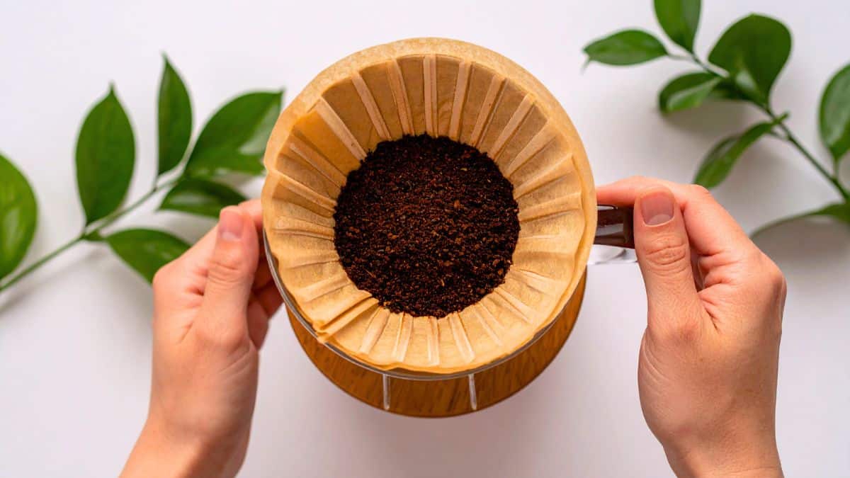 Des scientifiques découvrent que le marc de café peut renforcer le béton