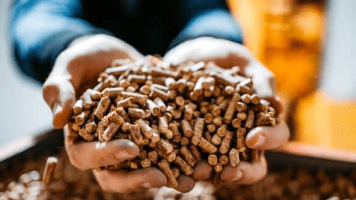 Ce rangement pour pellets révolutionnaire fait un carton grâce à son ...